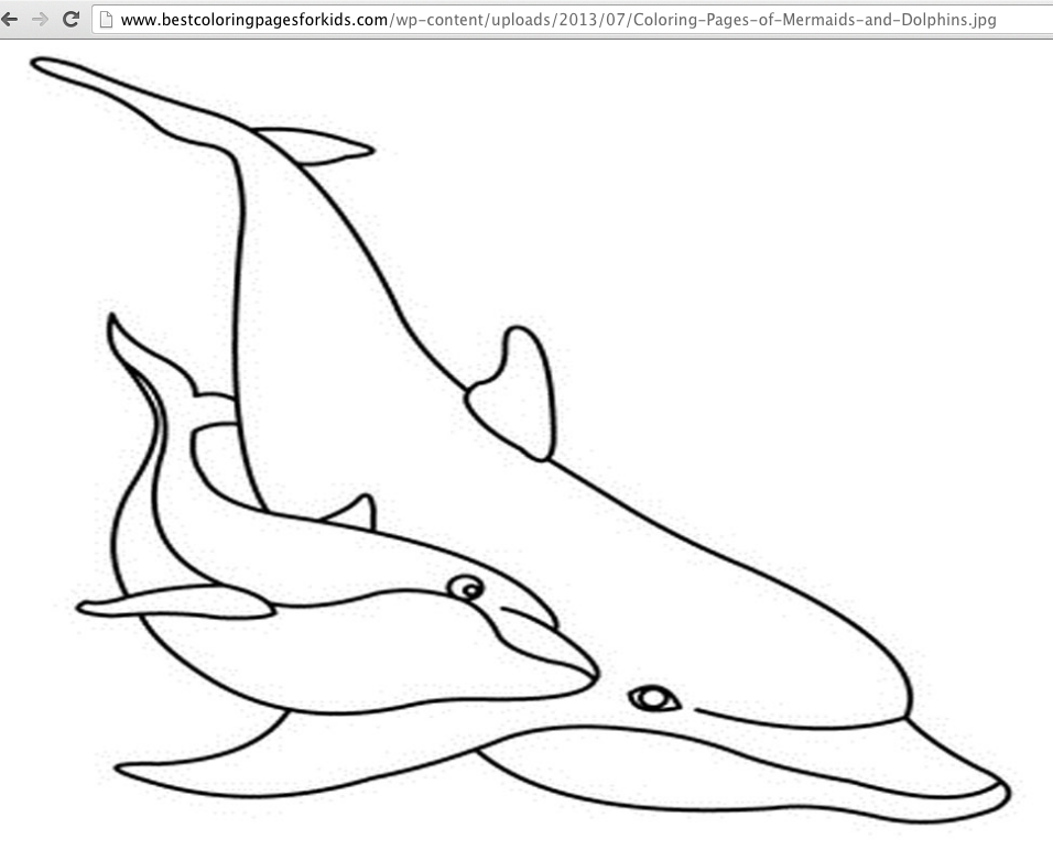 Centerline trace with Rapid Resizer